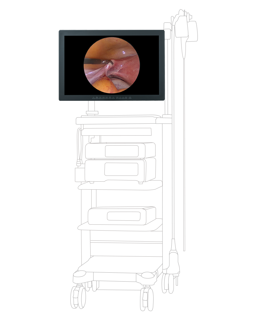 Diva Laboratories Ltd｜Medical Display、Industrial Display